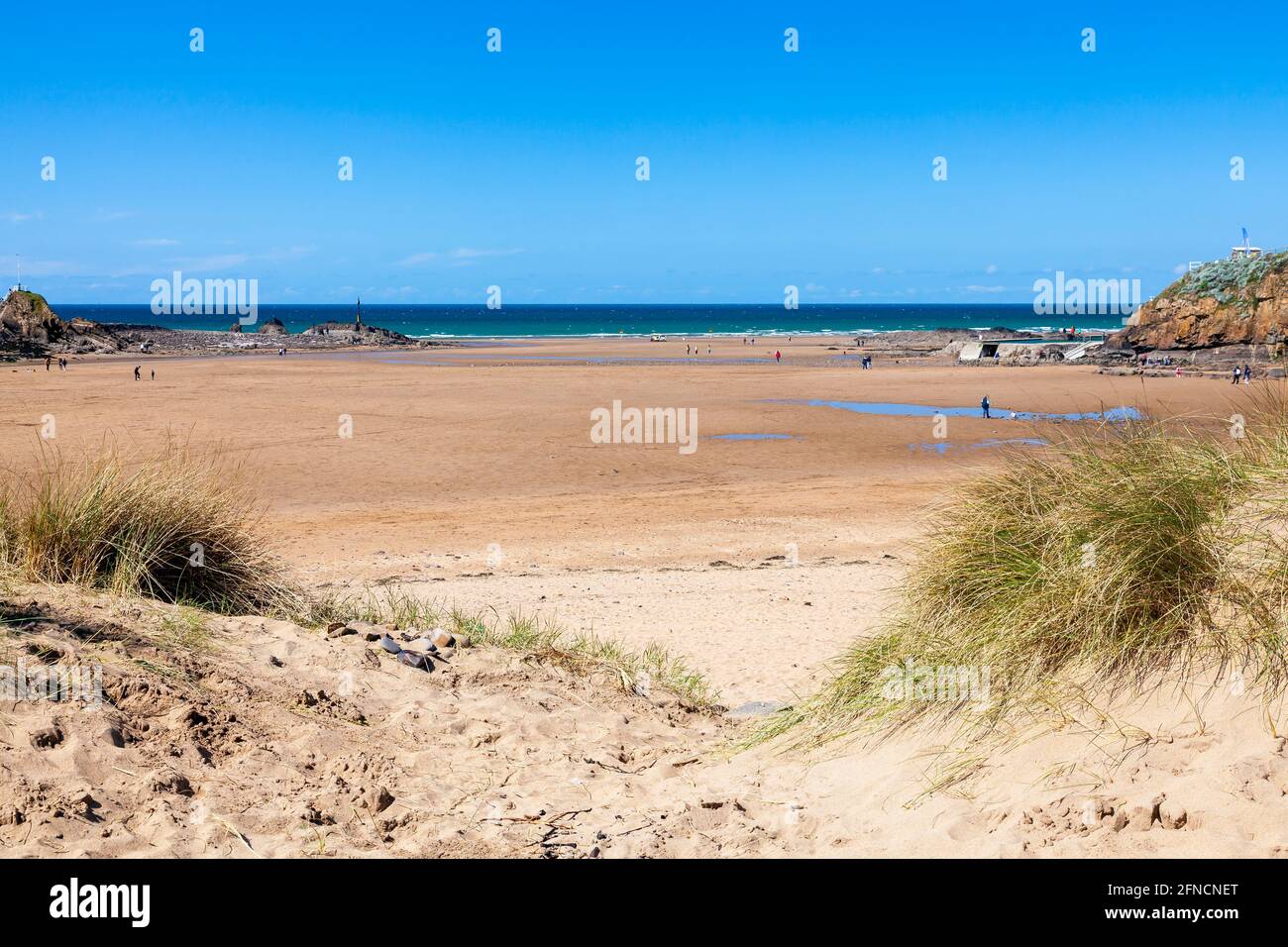 Golden sand Summerleaze Beach Bude Cornwall England UK Stock Photo - Alamy
