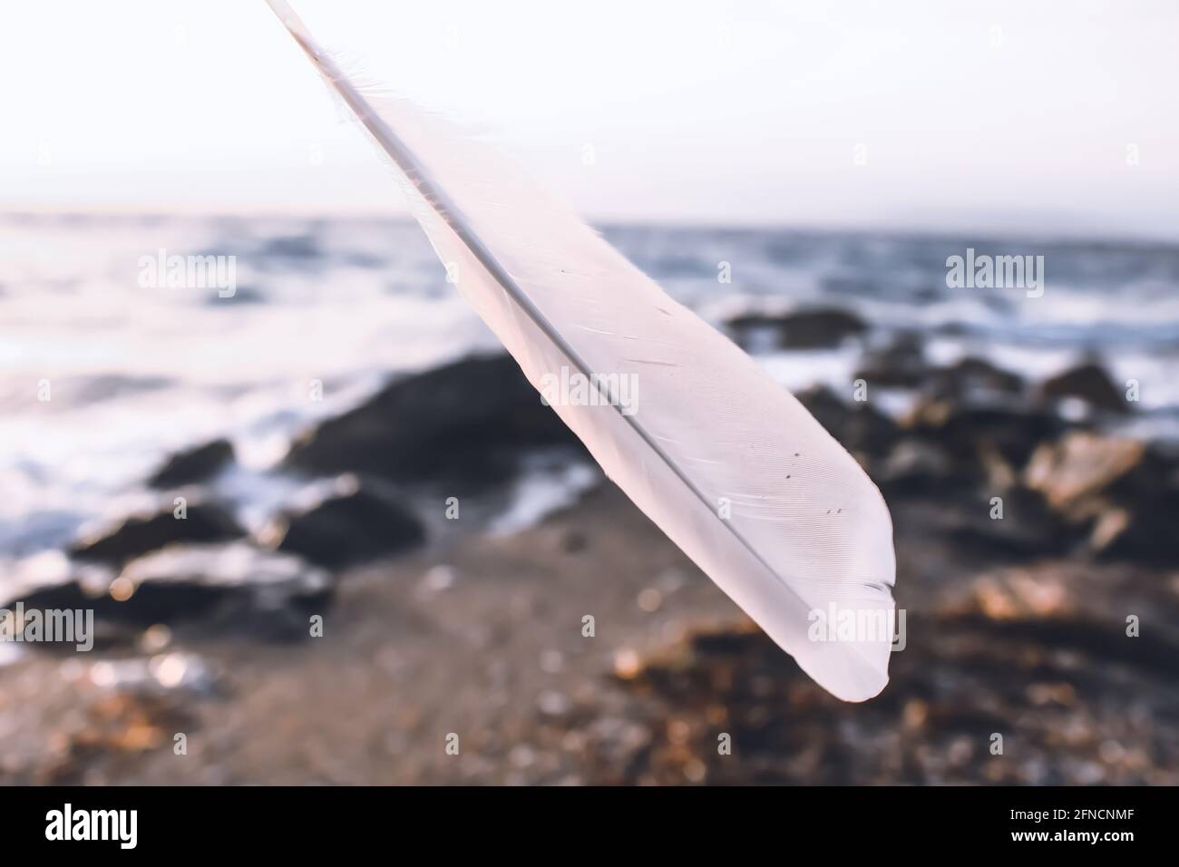 Breeze wind hi-res stock photography and images - Alamy