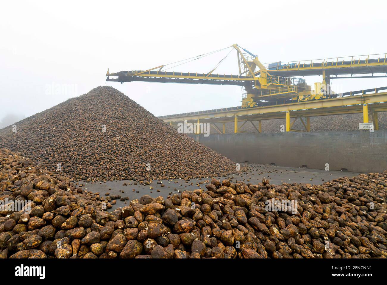Building sugar storage hi-res stock photography and images - Alamy