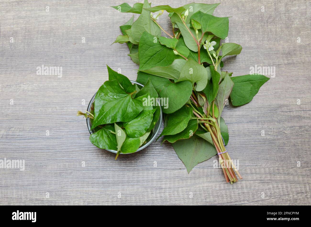 Vegetable of houttuynia cordata fish herb leaves Stock Photo - Alamy