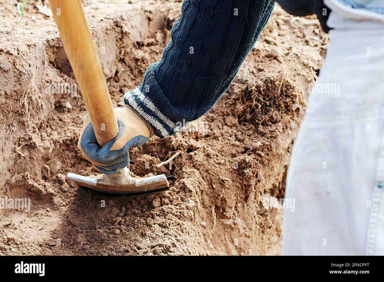Digging a garden pond hi-res stock photography and images - Alamy