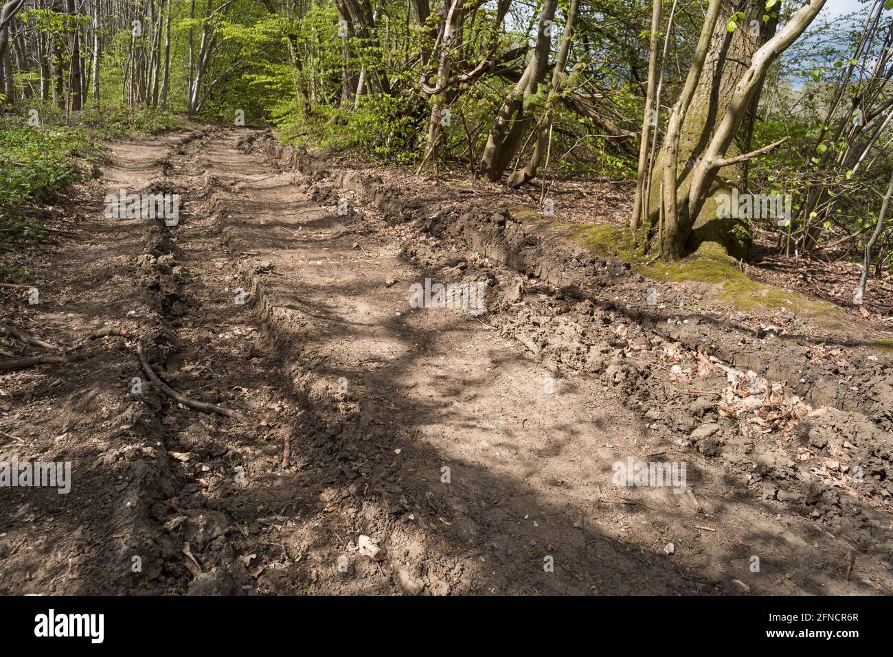 Extremely deep tire tracks furrows set rock hard like concrete in clay ...