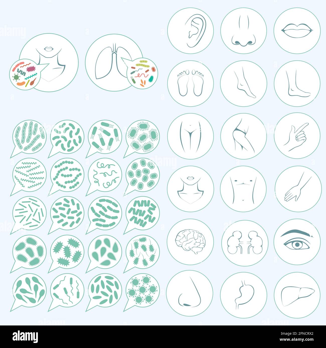 bacteria, virus infection, disease illustration Stock Vector Image ...