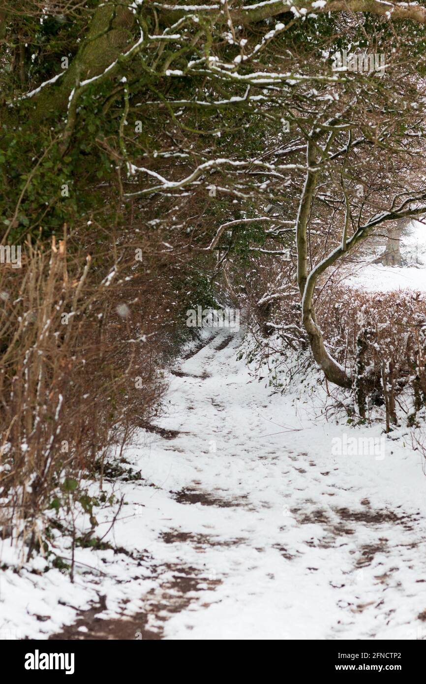 The bristol countryside hi-res stock photography and images - Alamy