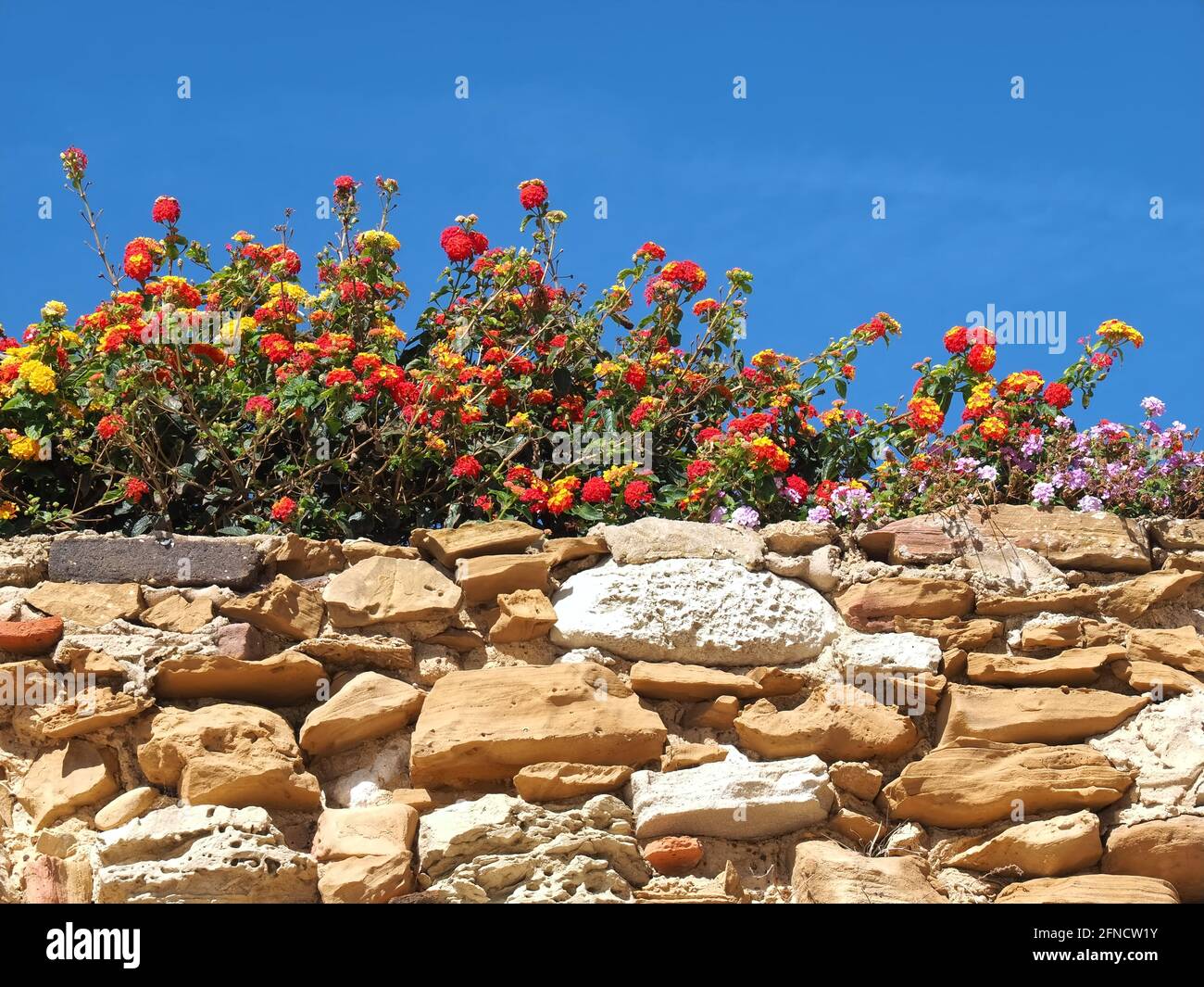Stone wall overgrown flowers hi-res stock photography and images - Alamy