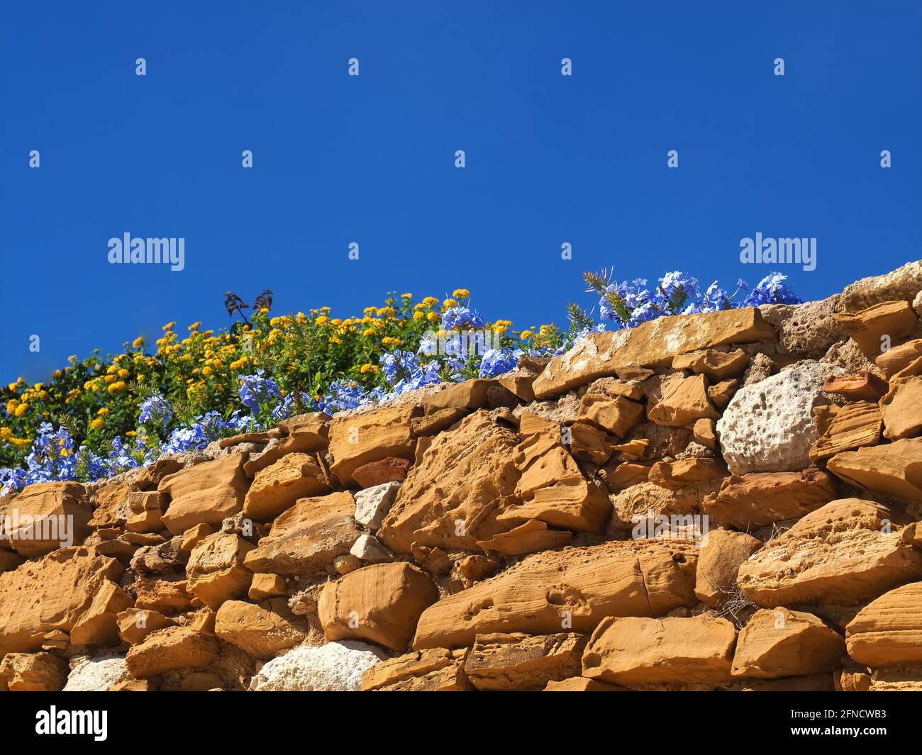 Stone wall with flowers in front of blue sky Stock Photo - Alamy
