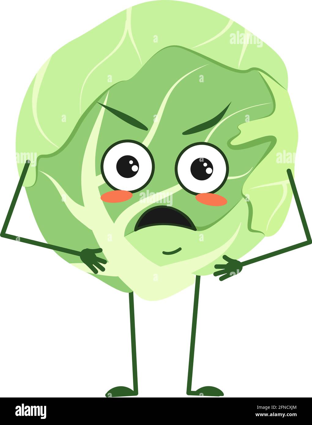 Cute cabbage character with angry emotions, face, arms and legs. The ...