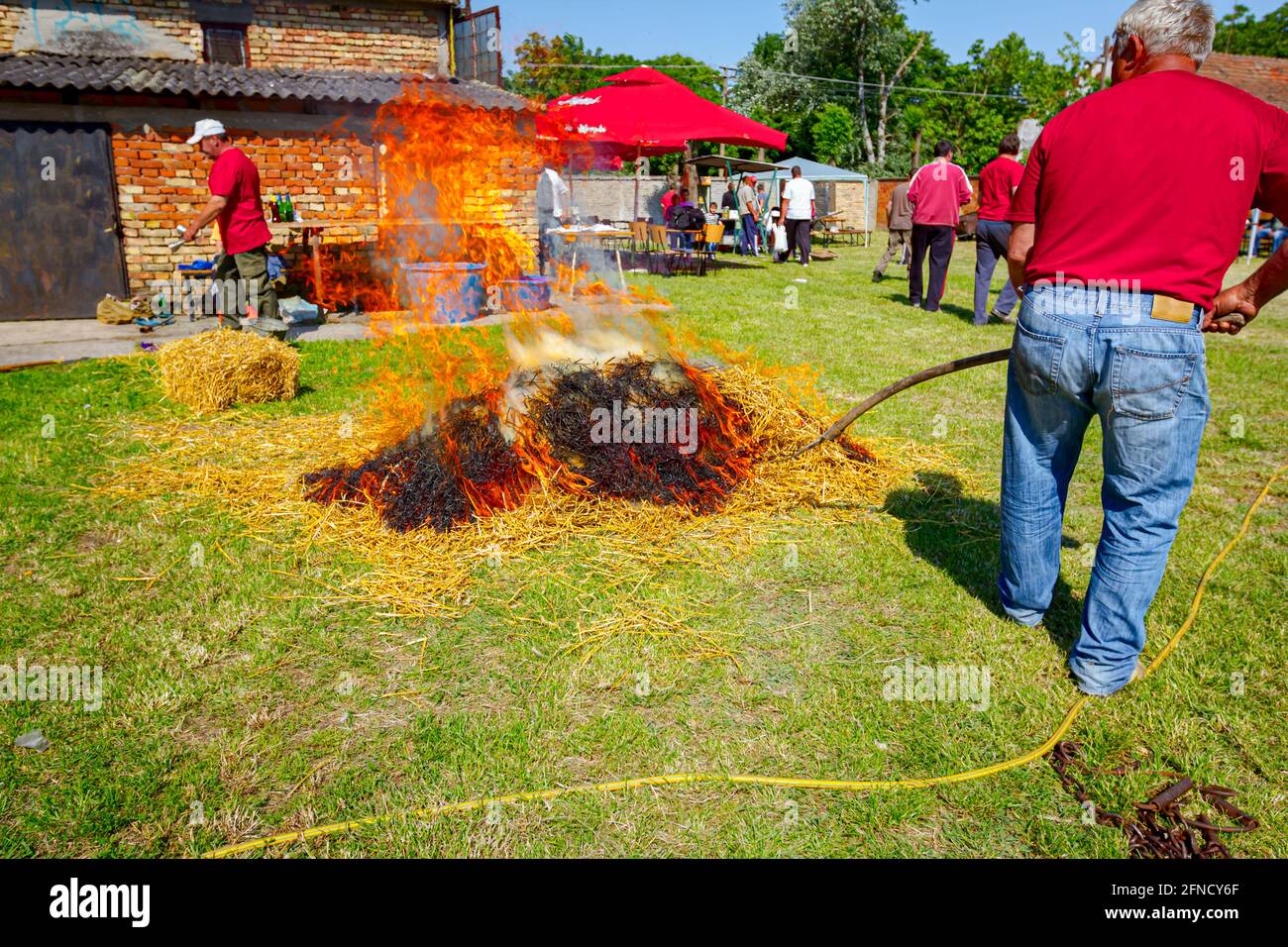 Pigs fire burning hi-res stock photography and images - Alamy