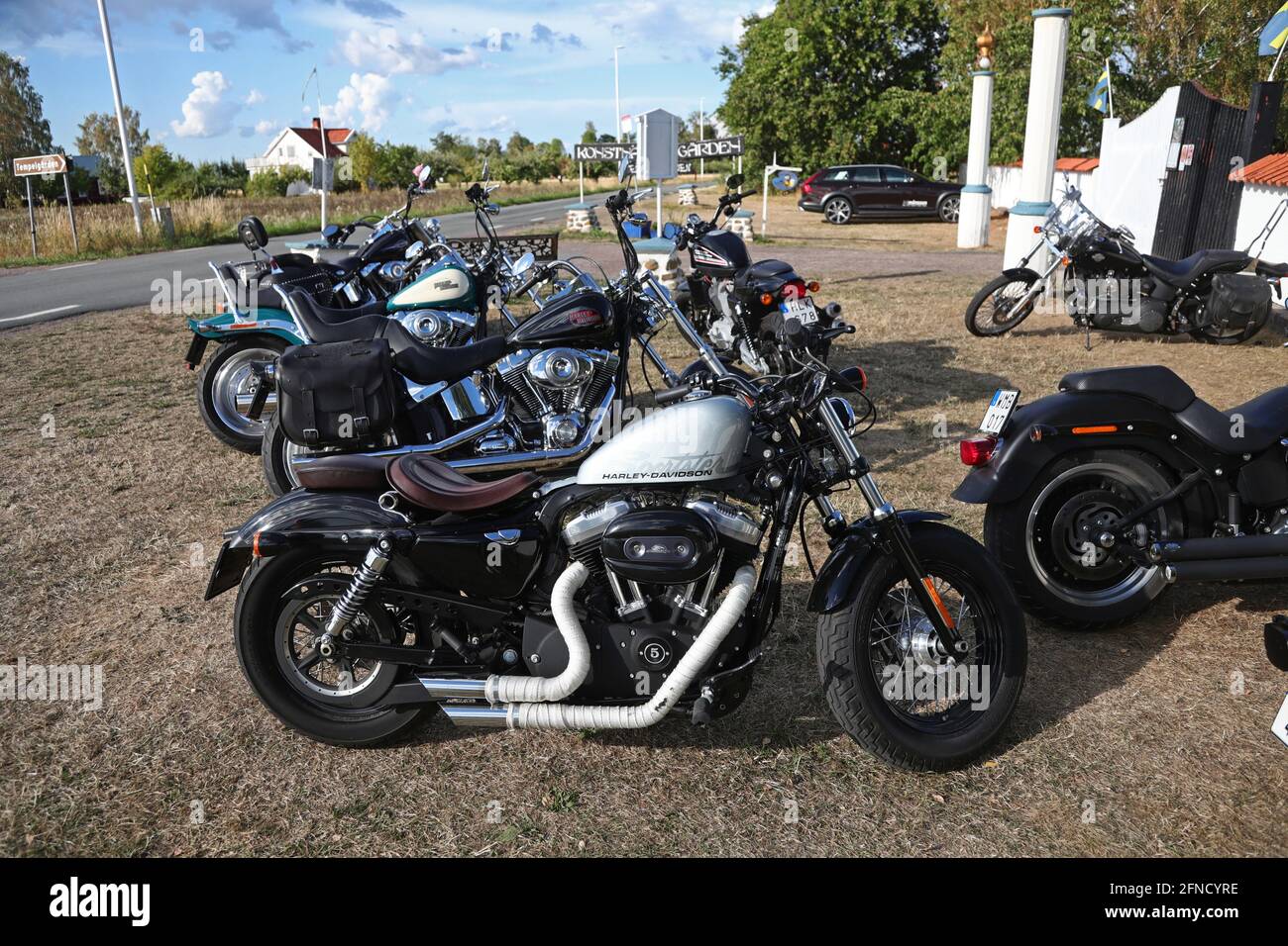 Harley Davidson motorcycles Stock Photo - Alamy