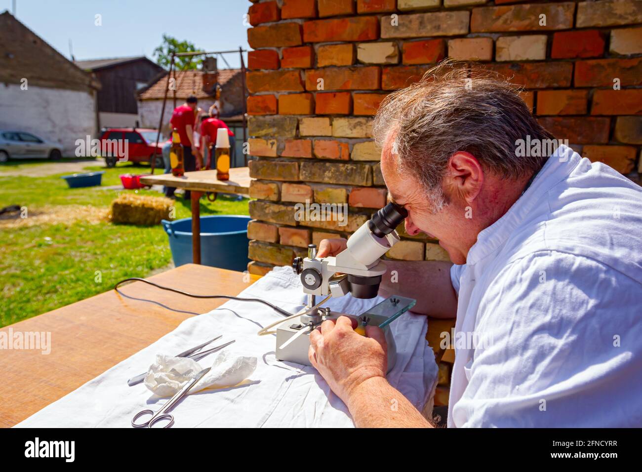 Vet and microscope hi-res stock photography and images - Alamy