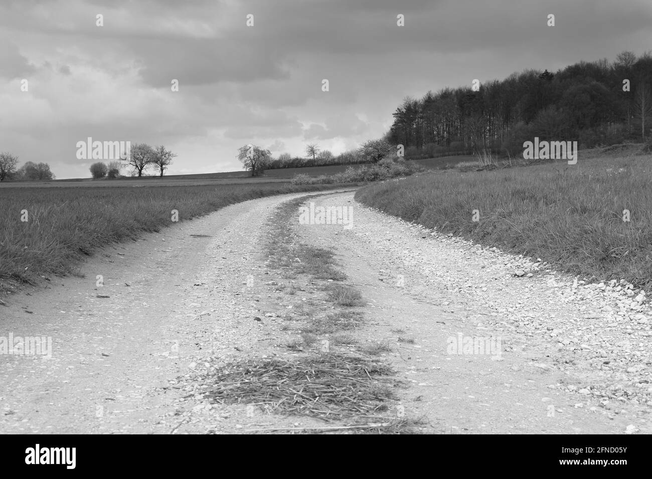 farm road in the fields and woodlands Stock Photo - Alamy