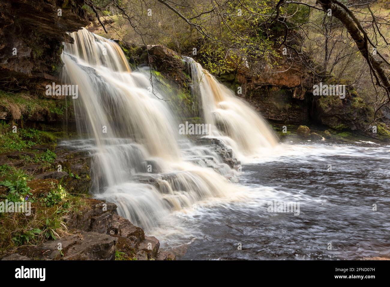Linn border hi-res stock photography and images - Alamy