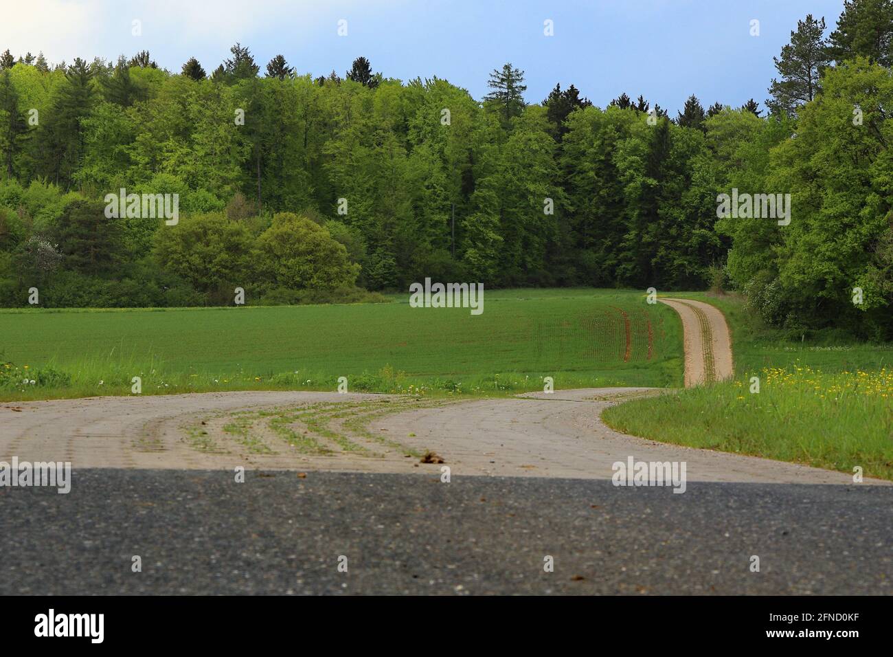 farm road in the fields and woodlands Stock Photo - Alamy