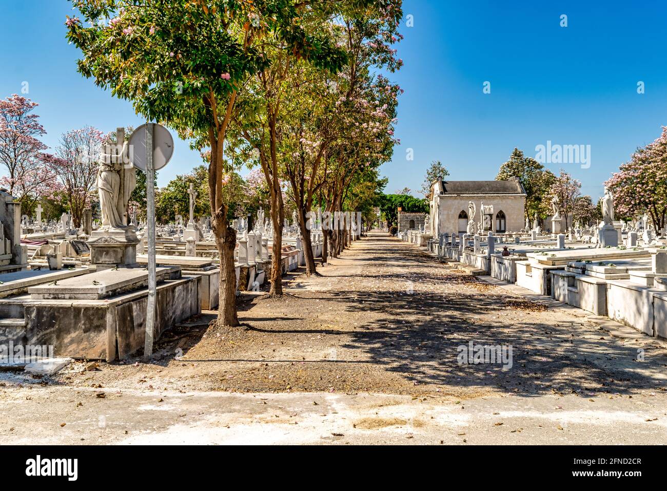Colon Cemetery in Havana, Cuba Stock Photo - Alamy