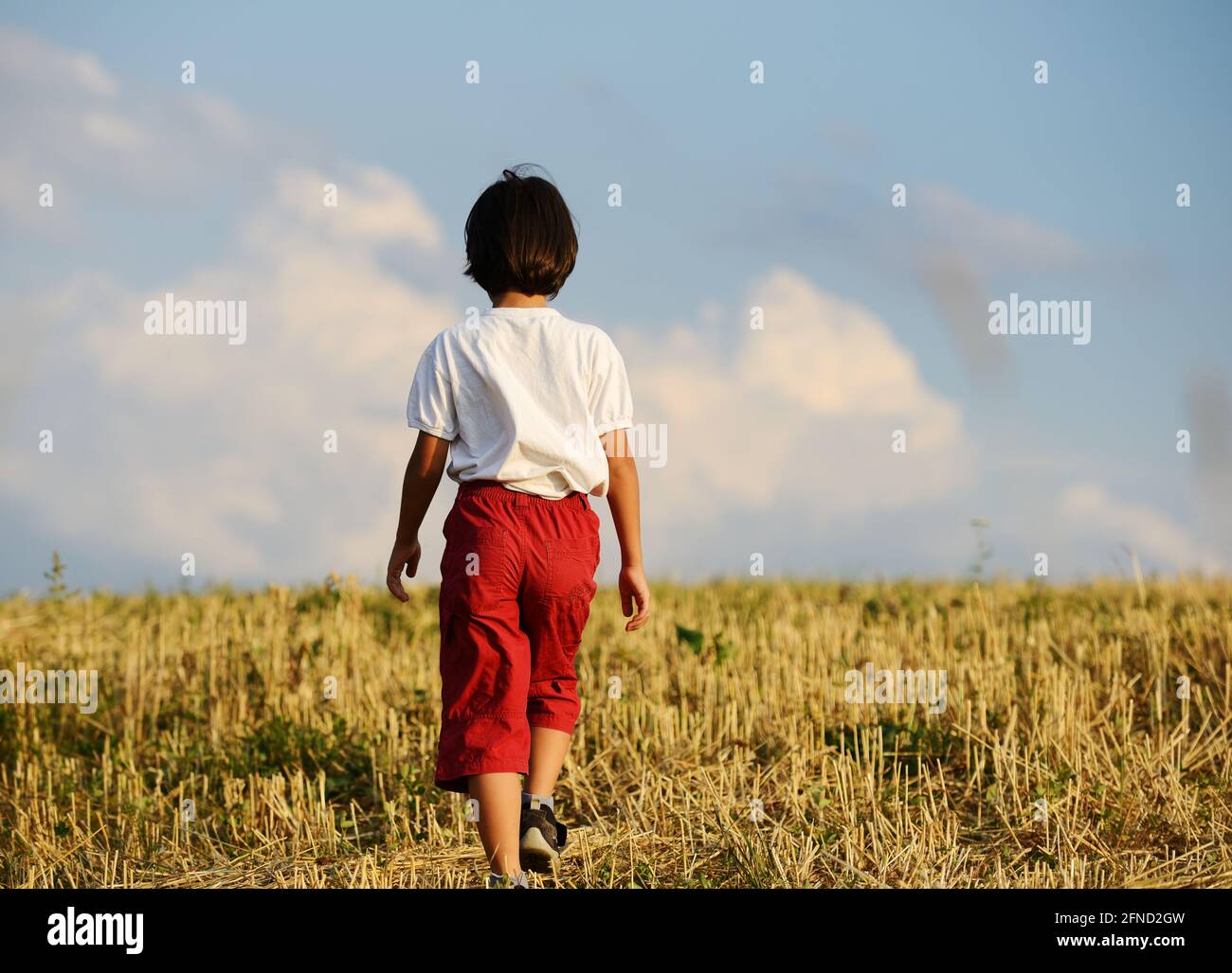 Happy kid on beautiful field Stock Photo - Alamy