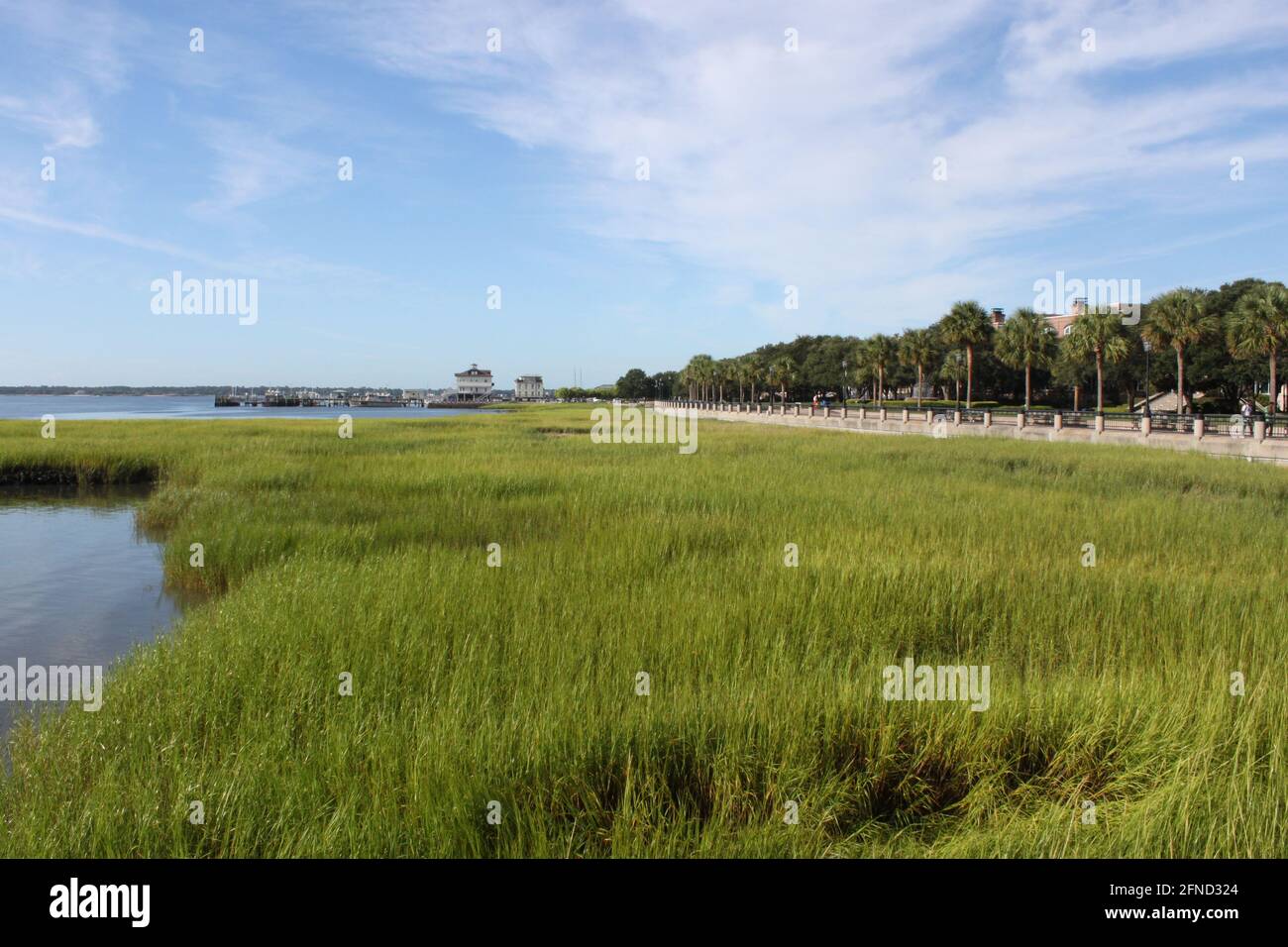 Marshy Grasses Charleston Waterfront Park South Carolina Stock Photo ...