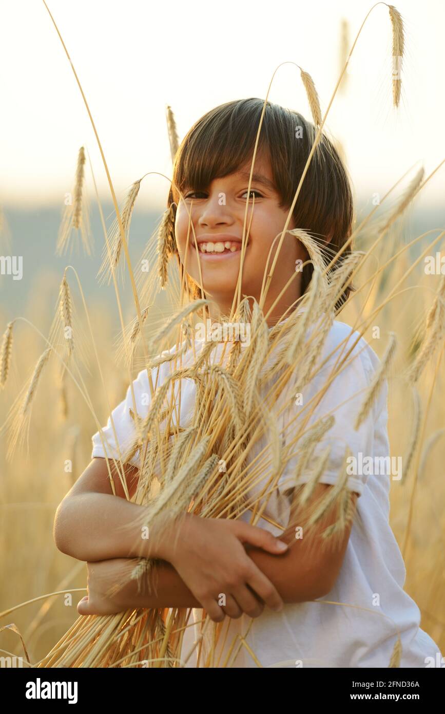 Kid at wheat field hugging harvest grain Stock Photo - Alamy