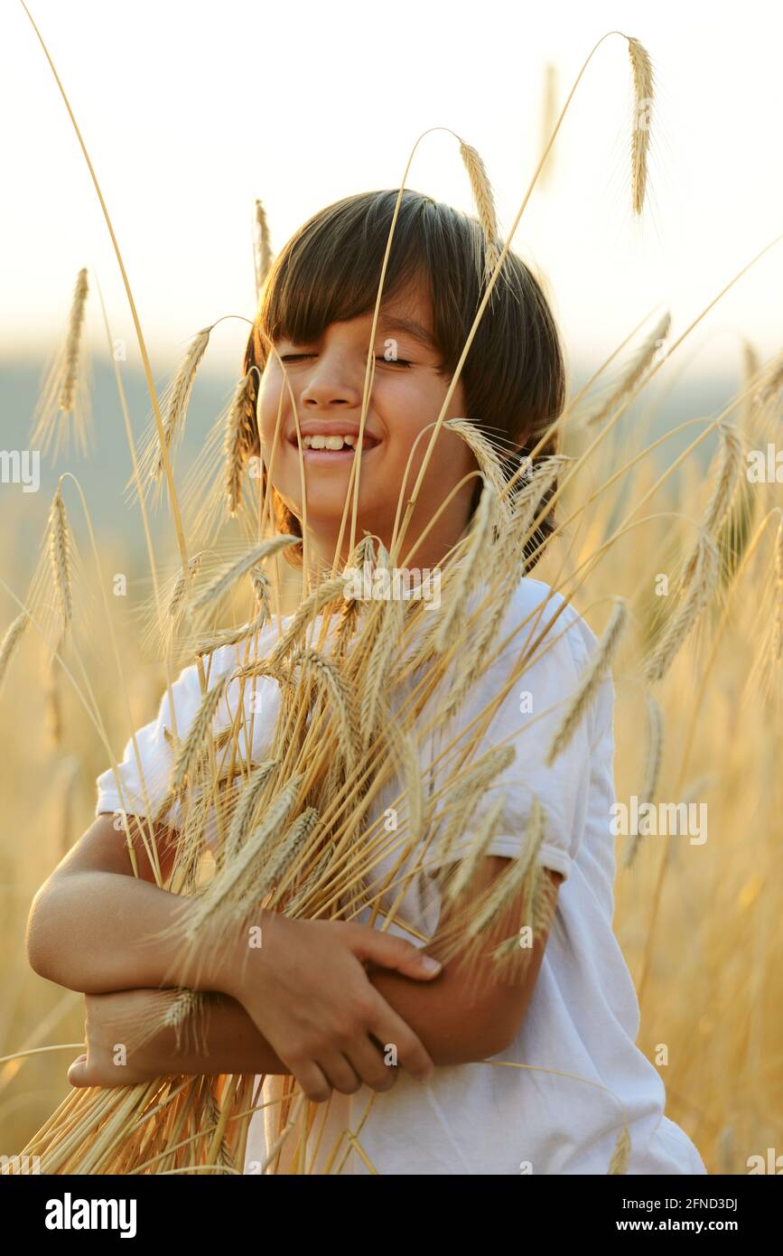 Kid at wheat field hugging harvest grain Stock Photo - Alamy