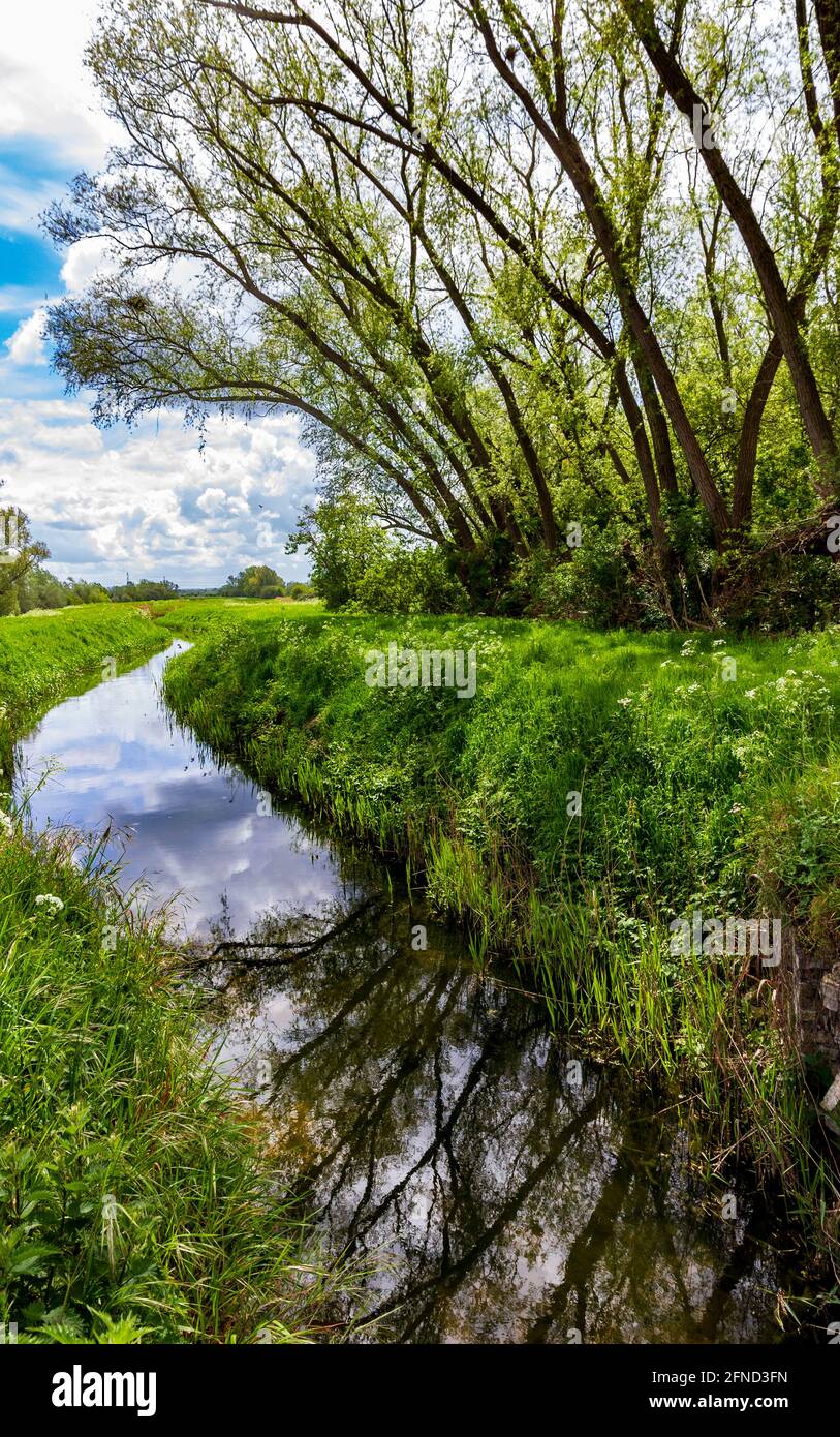 Bottisham Lode Cambridgeshire Stock Photo - Alamy