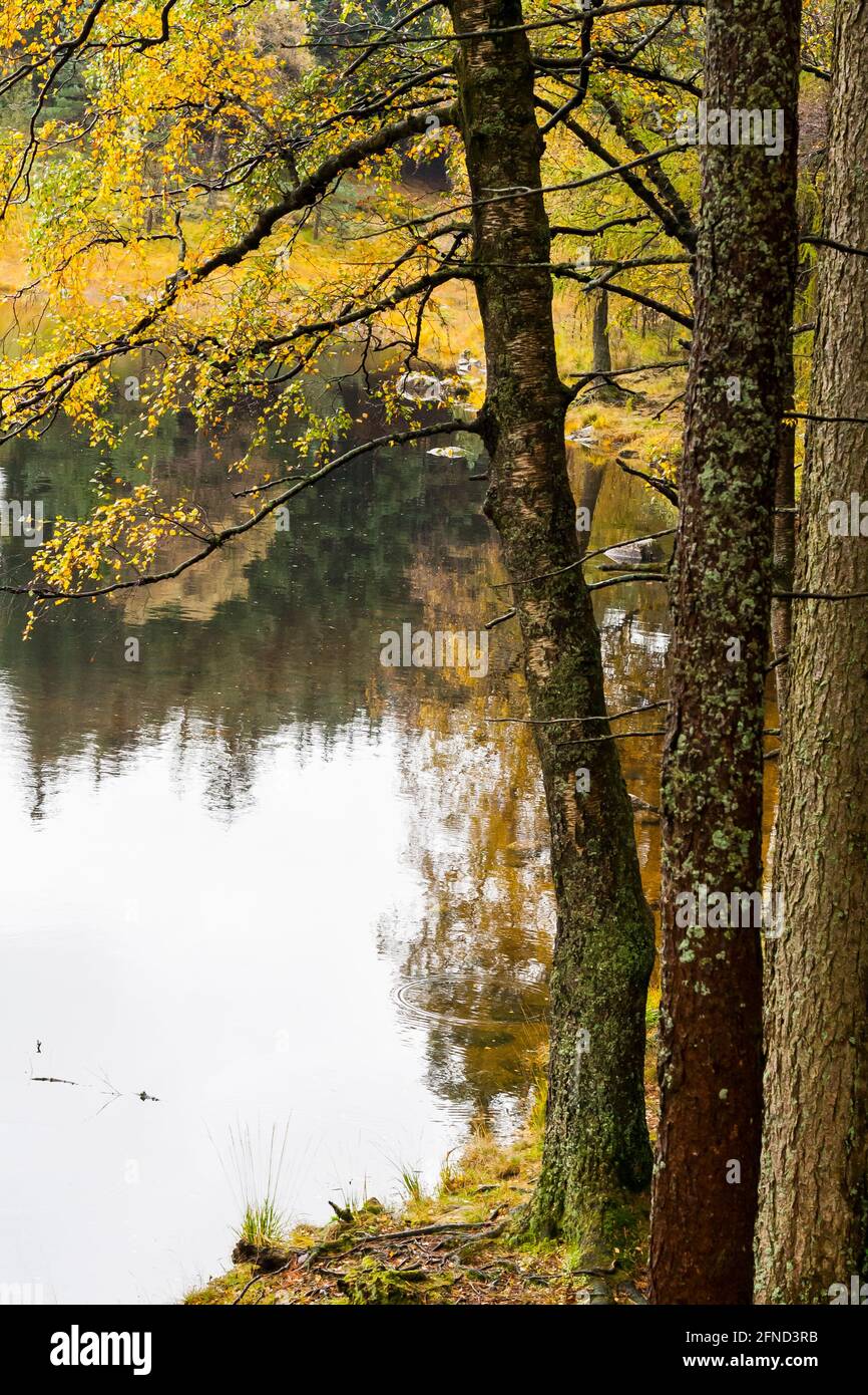 Landscape view of blea tarn in the English Lake District Stock Photo ...