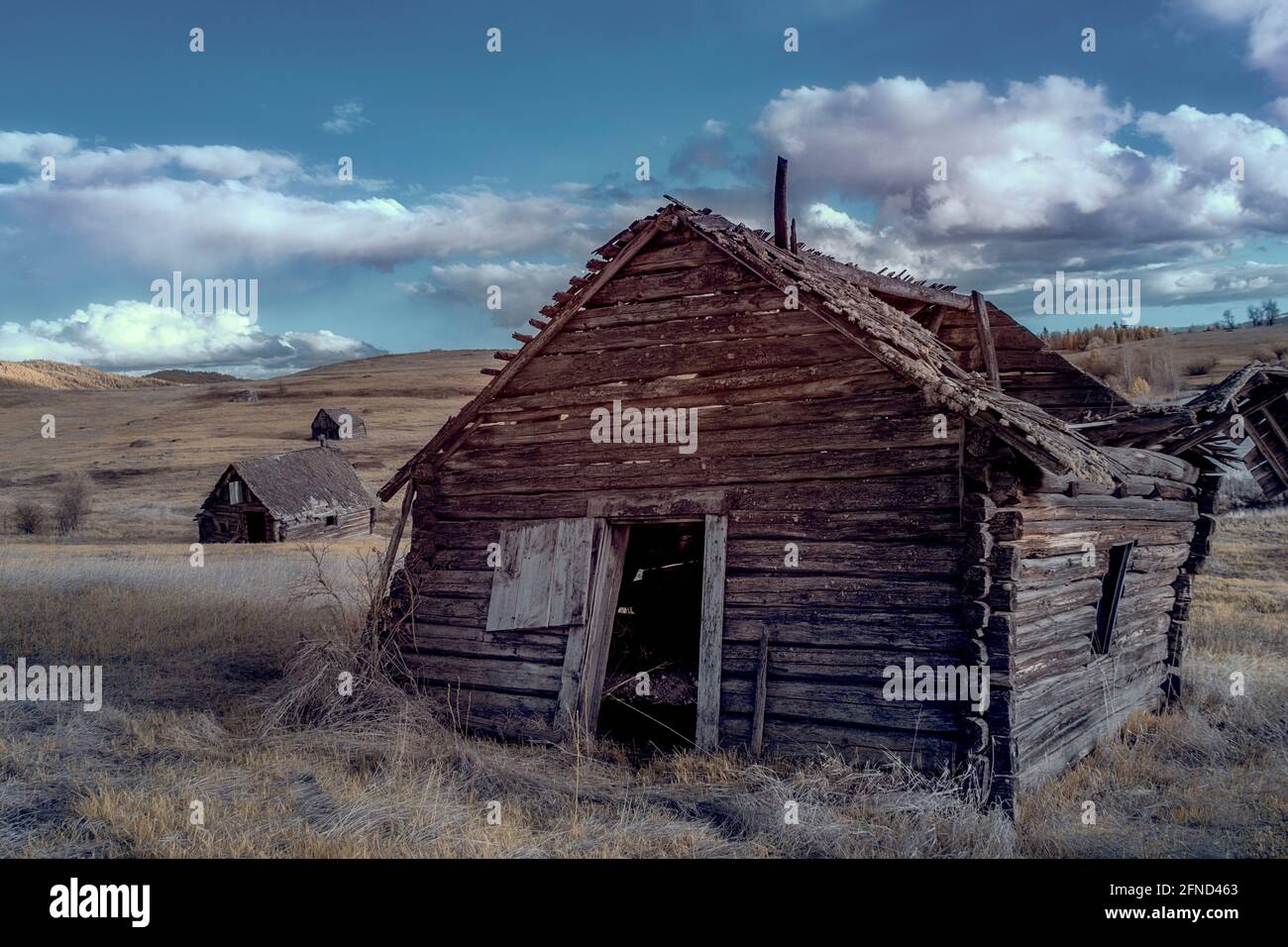 Crumbling abandoned log cabins in remote Idaho Stock Photo - Alamy