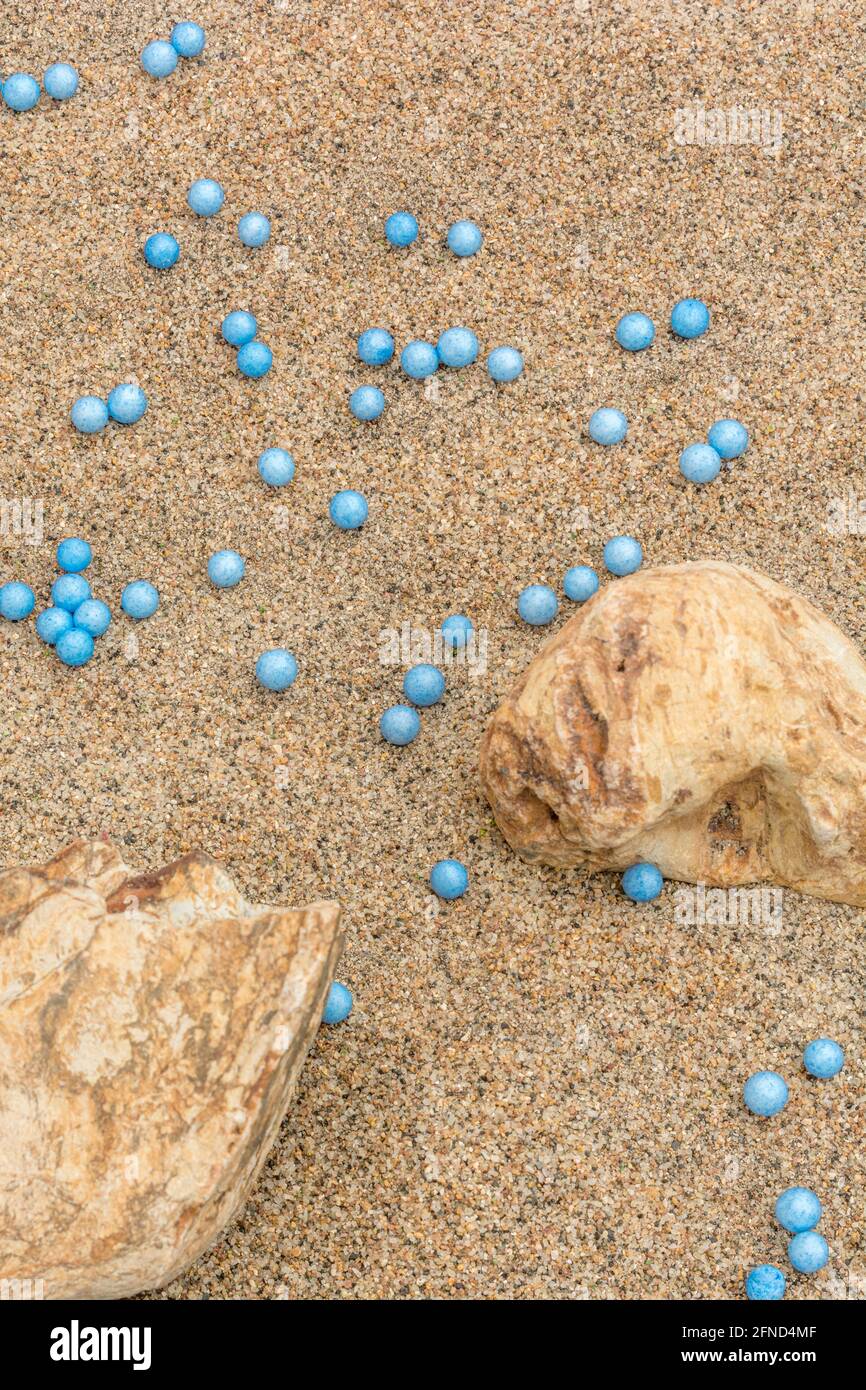 Tongue-in-cheek for search for life on Mars & NASA's blueberries after ...