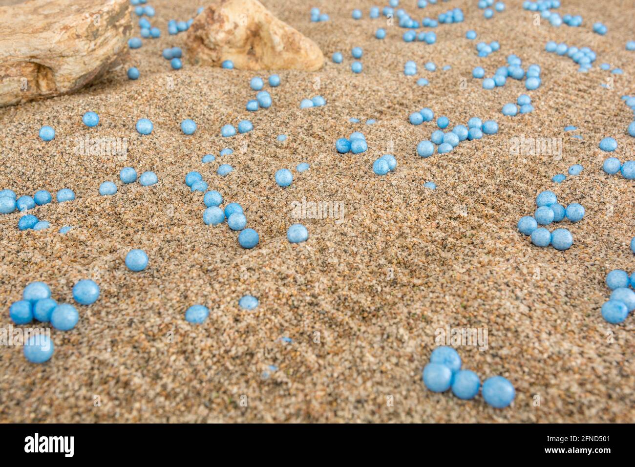 Mars fungus spotting hi-res stock photography and images - Alamy