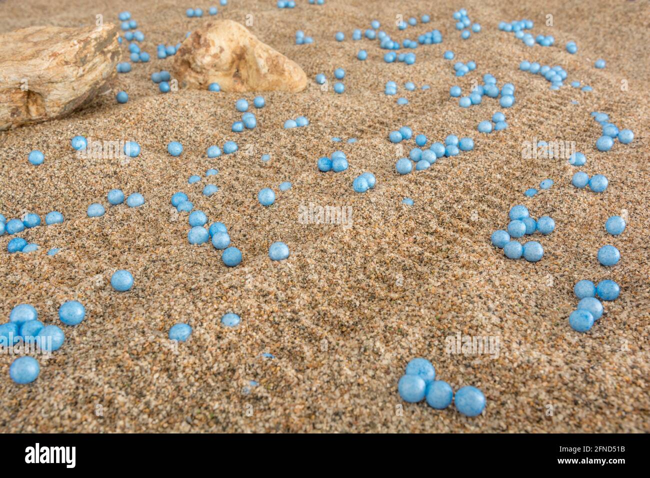 Tongue-in-cheek for search for alien life on Mars with NASA's Rover ...