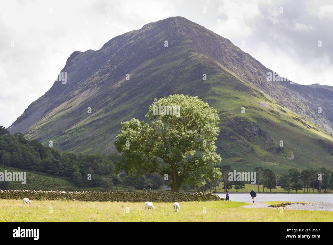 Landscape view of Buttermere and surrounding mountains in the English ...