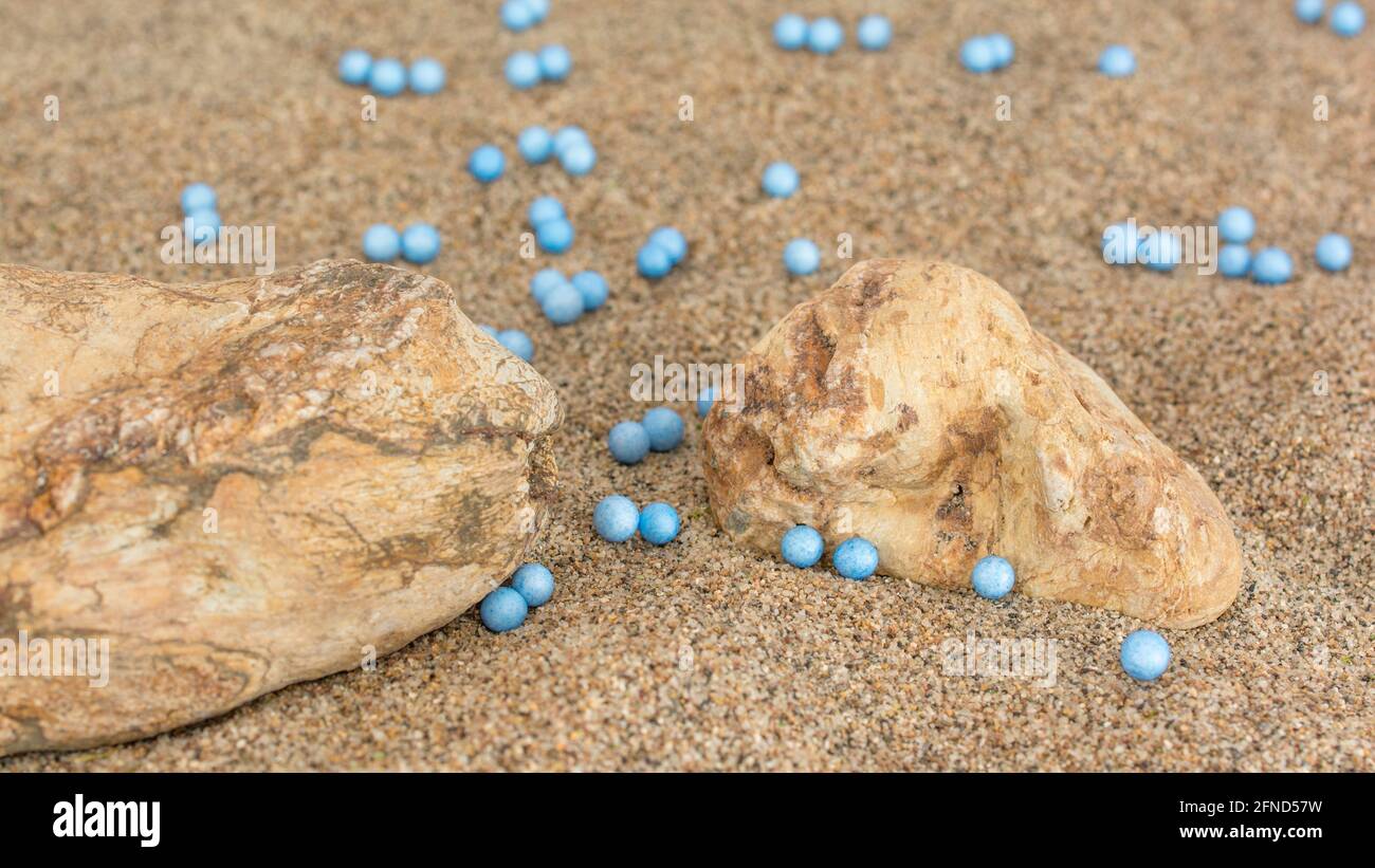 Tongue-in-cheek for search for life on Mars & NASA's blueberries after ...