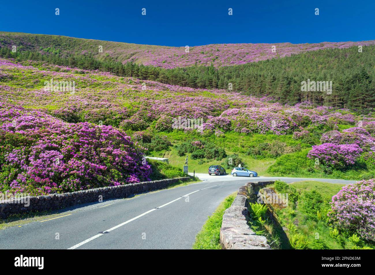 The road to Vee Pass in Knockmealdown Mountains is winding among hills ...