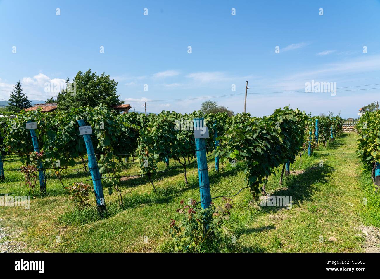Aerial agricultural farm land california hi-res stock photography and ...