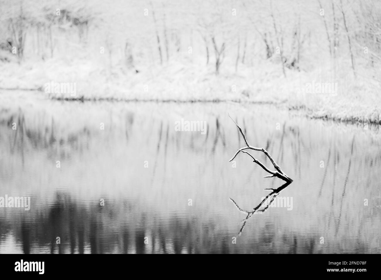 Above pond Black and White Stock Photos & Images - Alamy