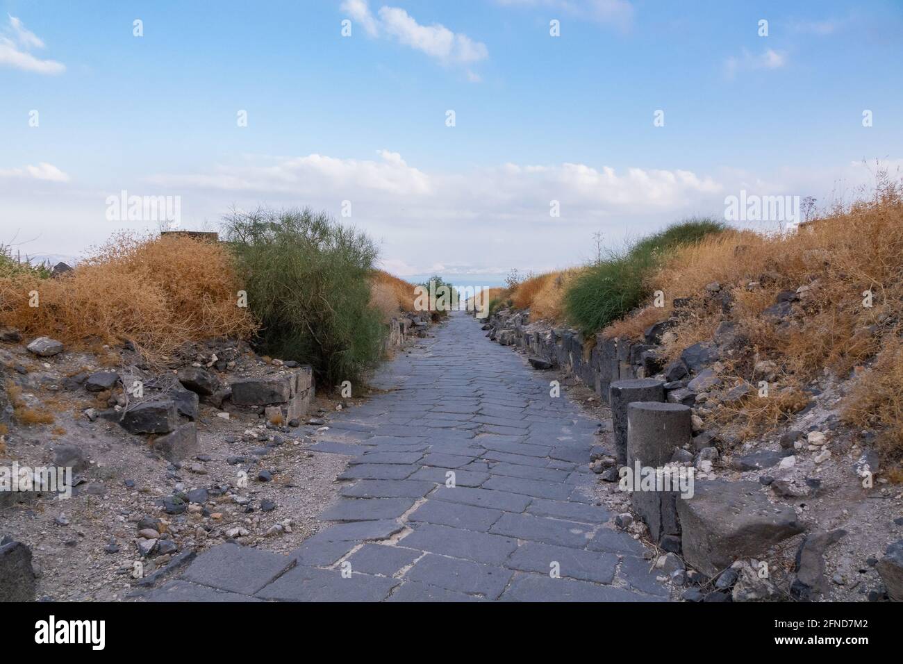 View of the 'decumanus maximus' street of the Roman archaeological site ...