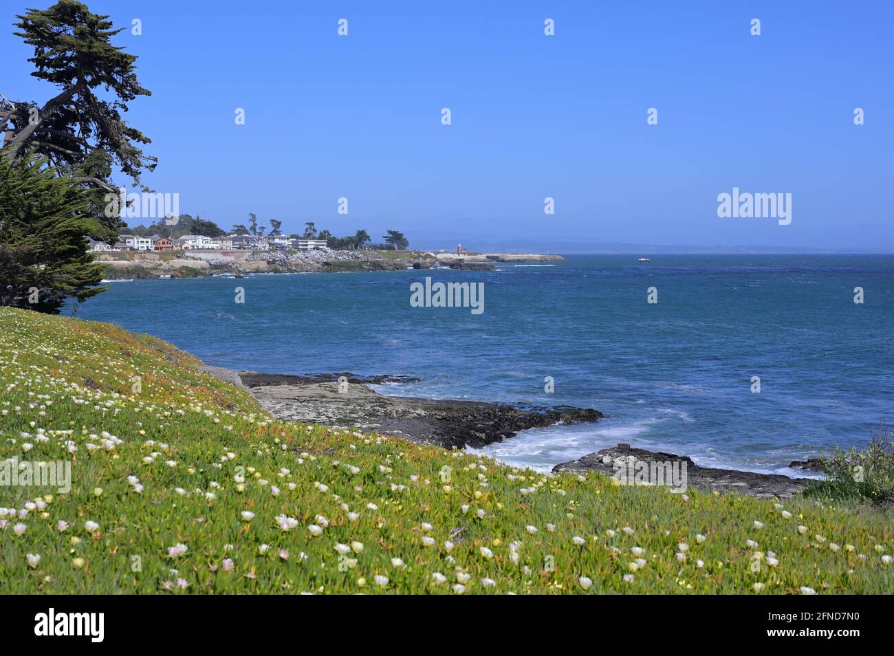 Marine drive nature trail hi-res stock photography and images - Alamy