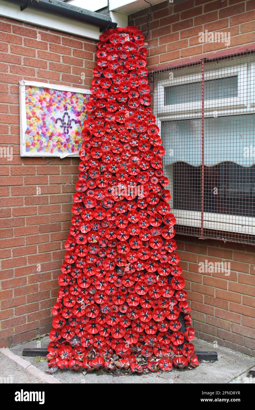 Memorial Day Poppy Displays