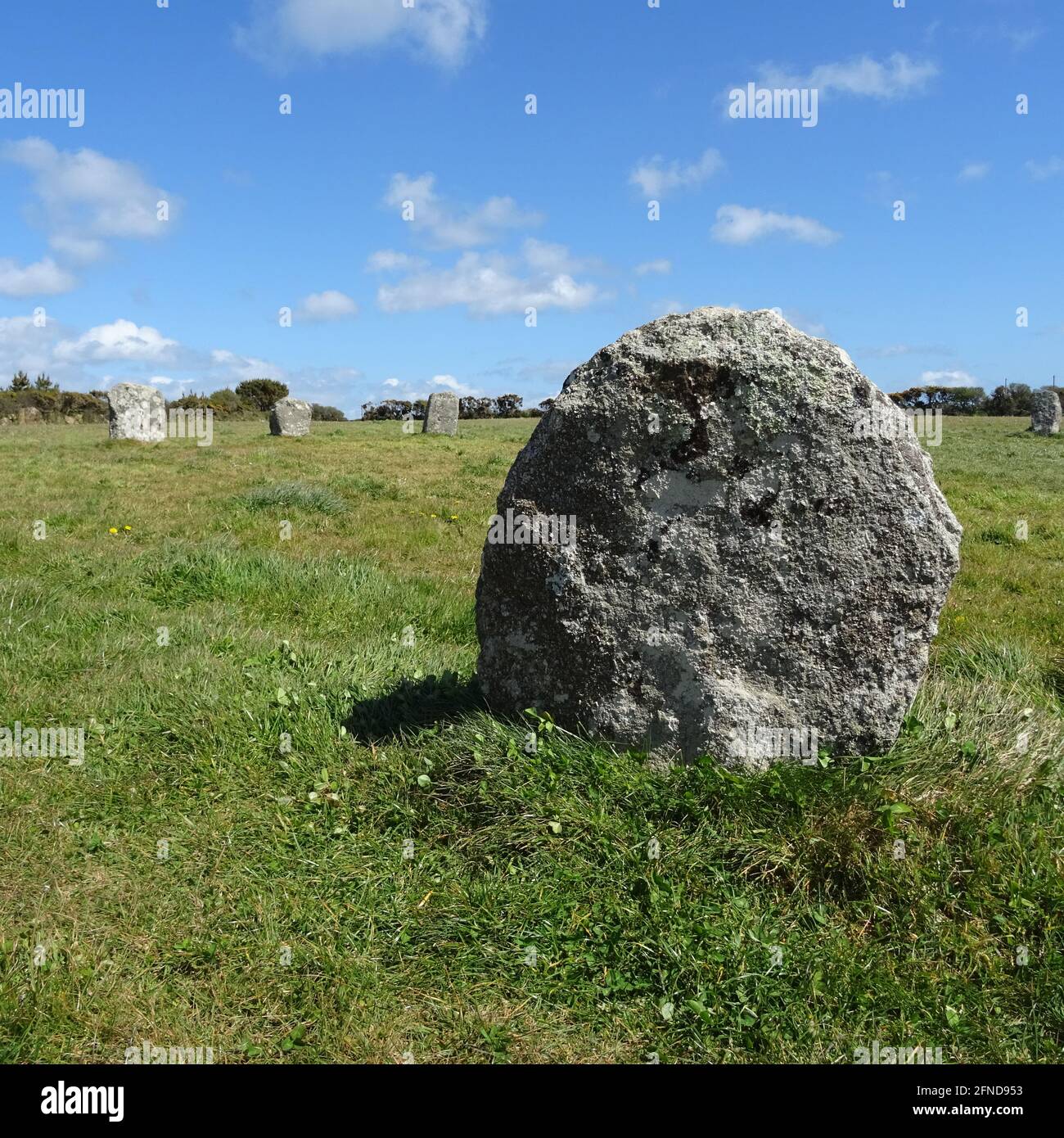 The Merry Maidens stone circle, Cornwall, England, UK, 3,05,2021. The ...