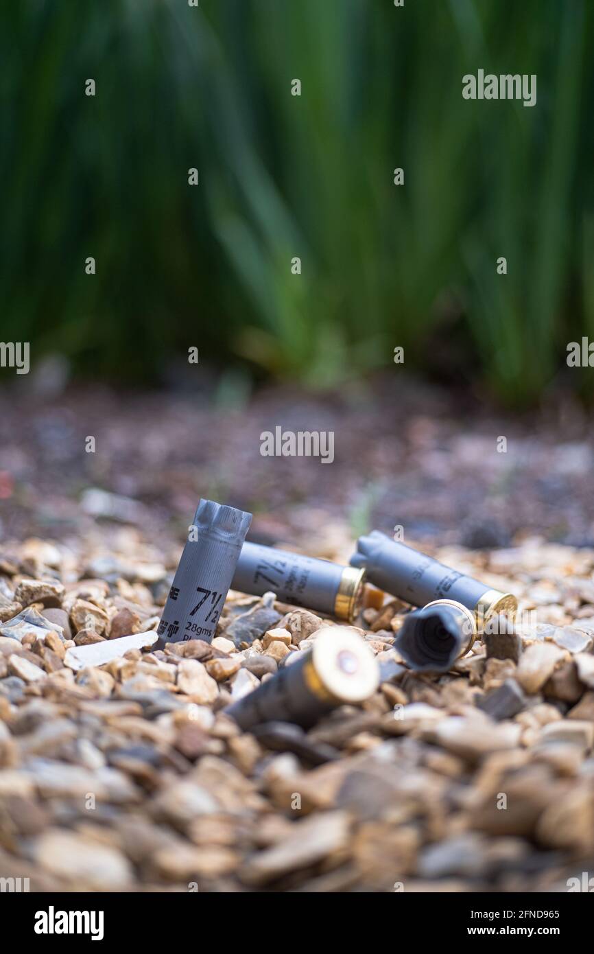 Spent shotgun shells on the ground hi-res stock photography and images ...