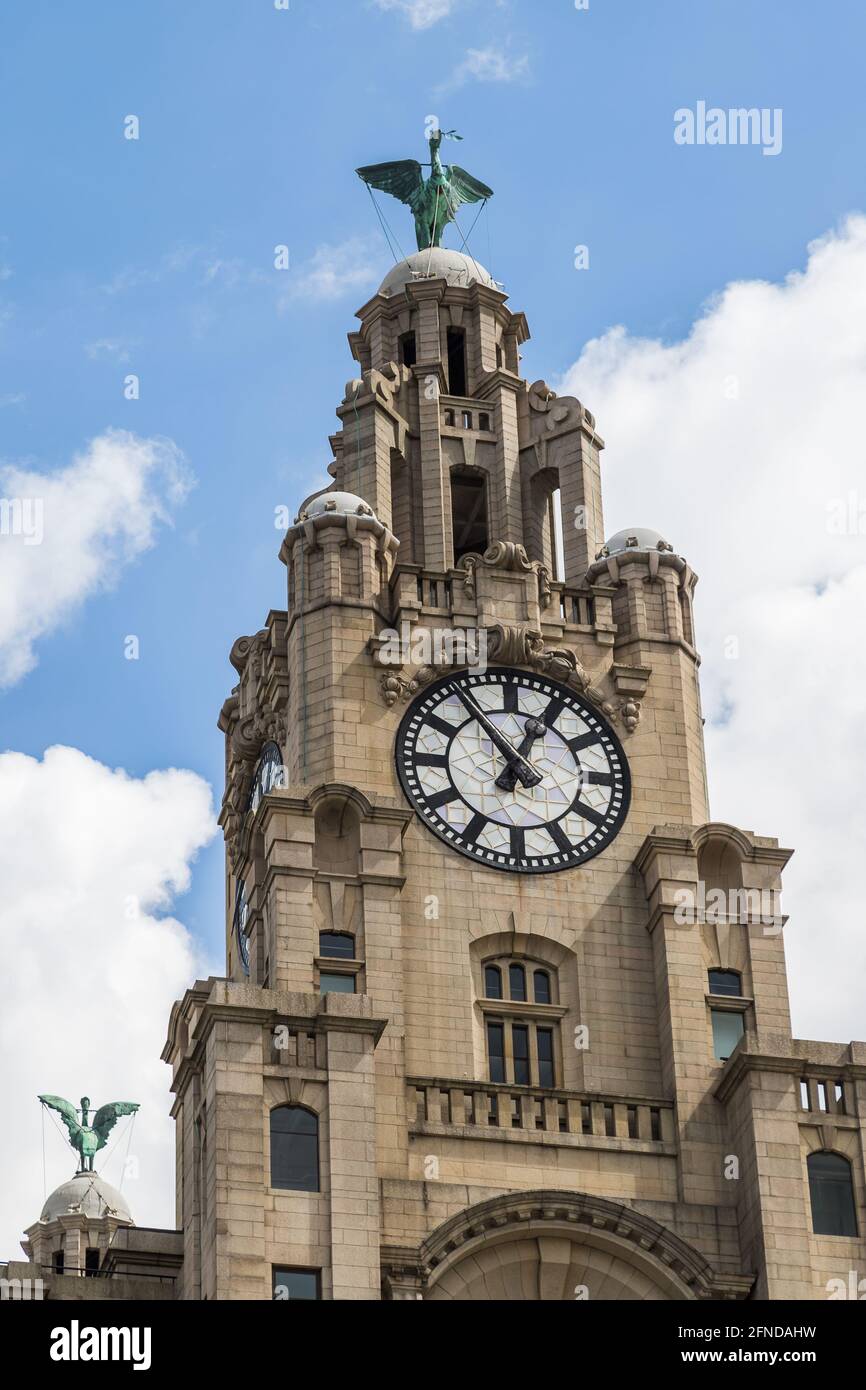 The two Liver Birds pictured on top of the Royal Liver Building on the ...