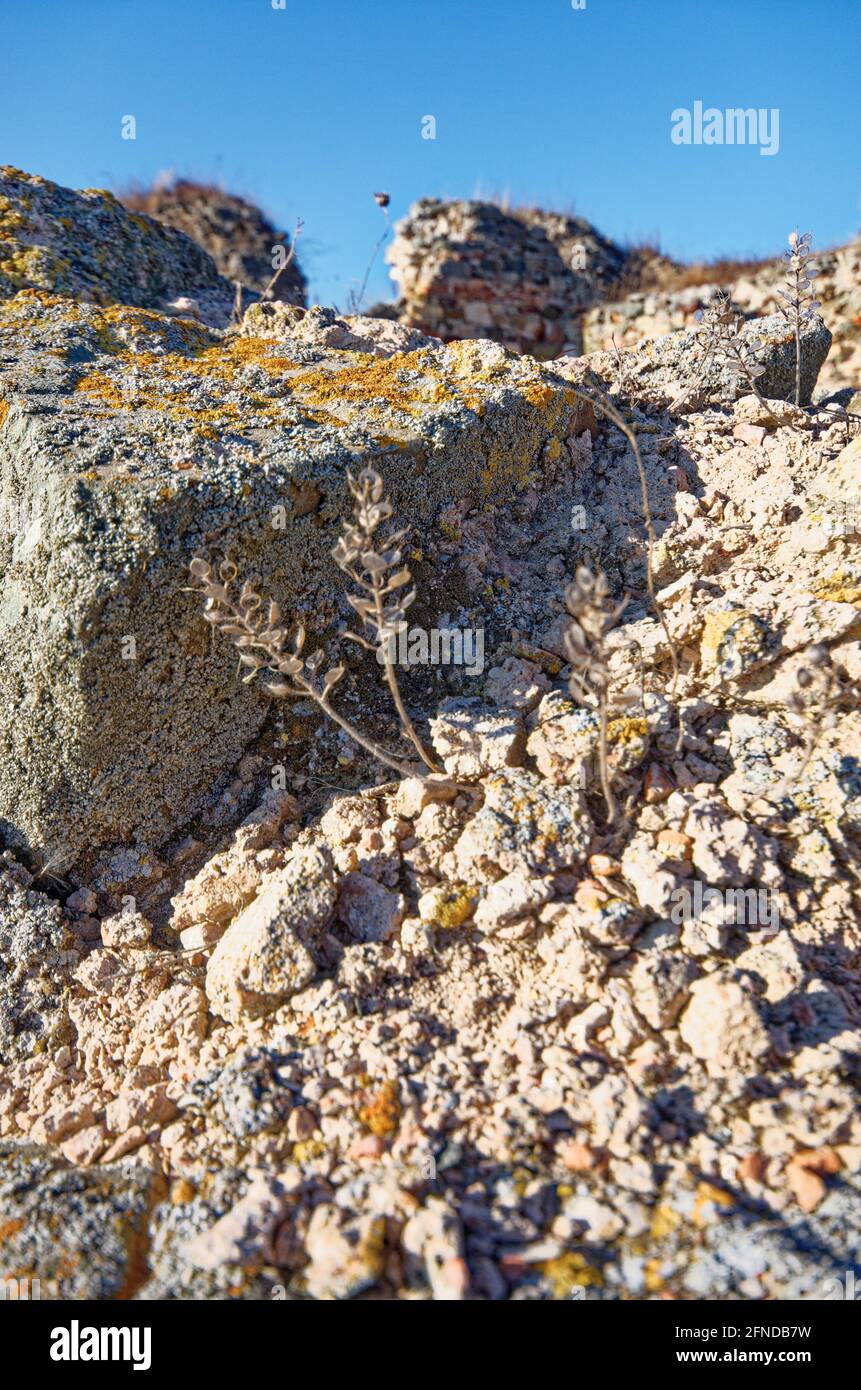 Histria, Romania - Ruins of ancient Greek colony city of Istros ...
