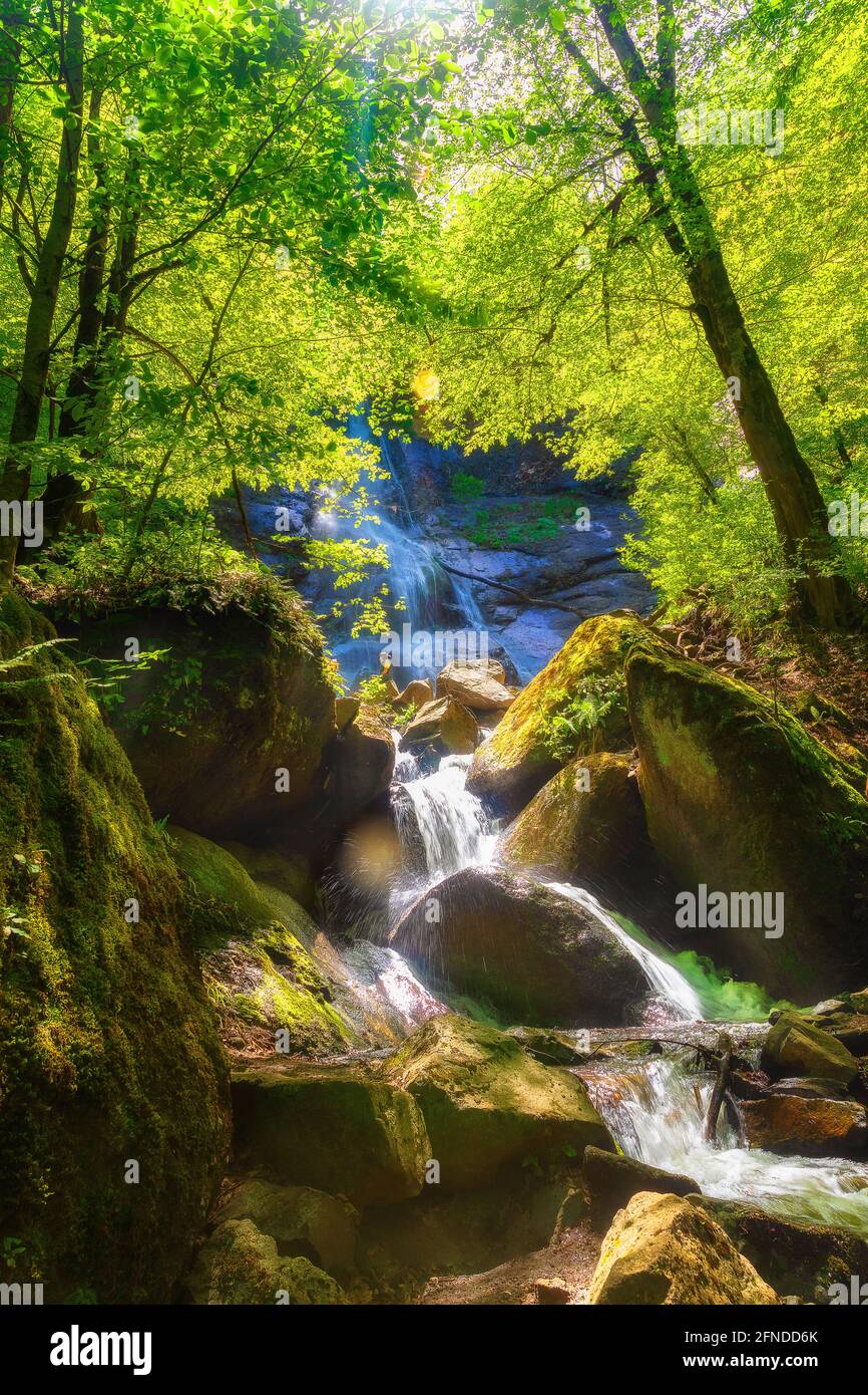 Mountain waterfall in spring forest Stock Photo - Alamy
