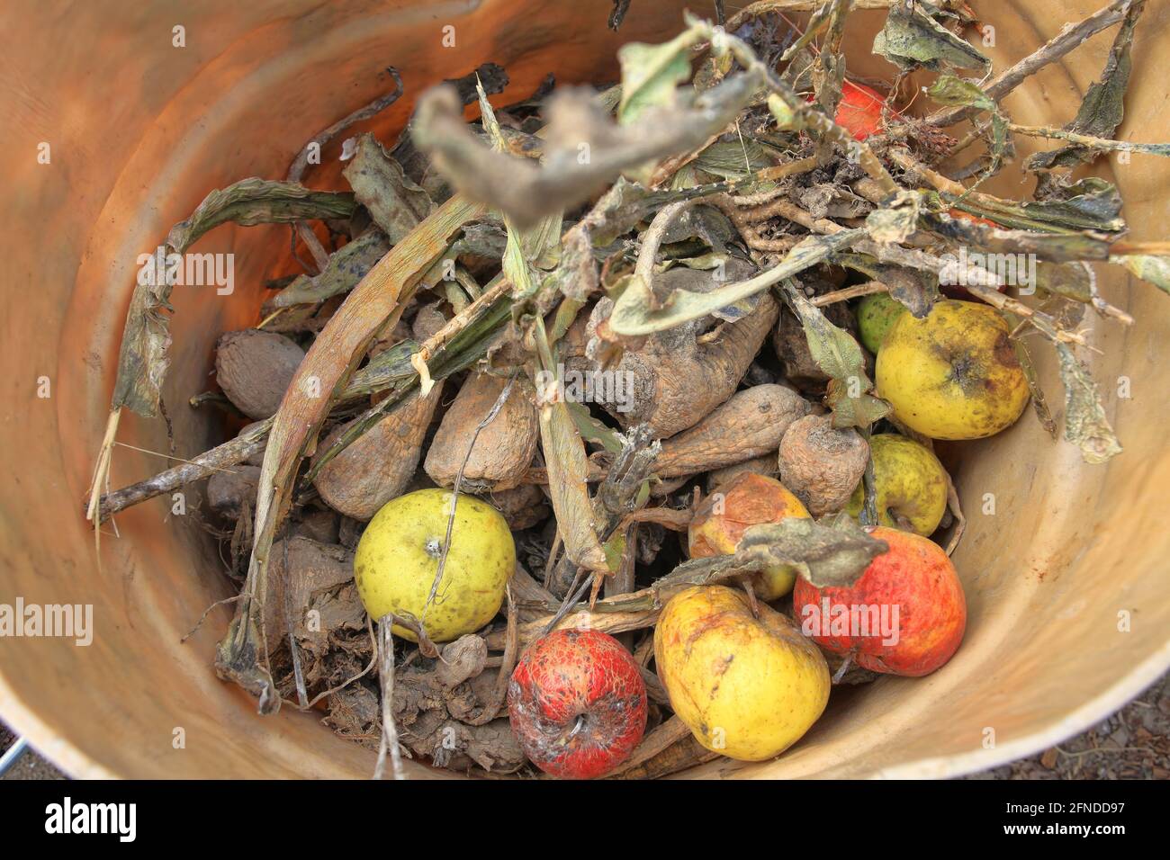 Rotten vegetables hi-res stock photography and images - Alamy