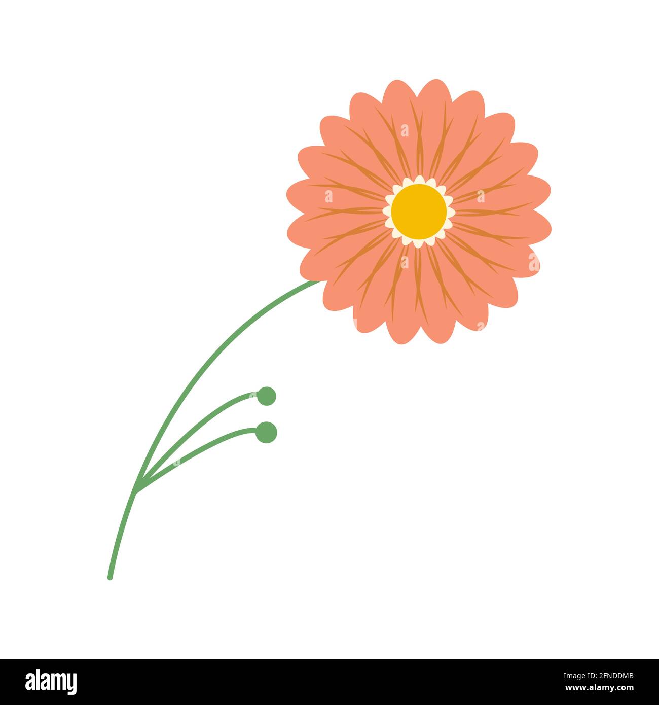 Boho flowers, clipart elements Valentine's day in boho style. Bohemian ...