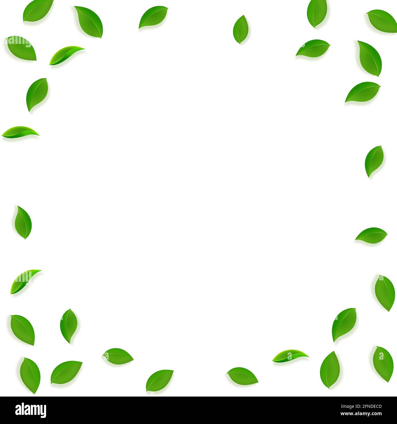 Falling green leaves. Fresh tea random leaves flying. Spring foliage ...