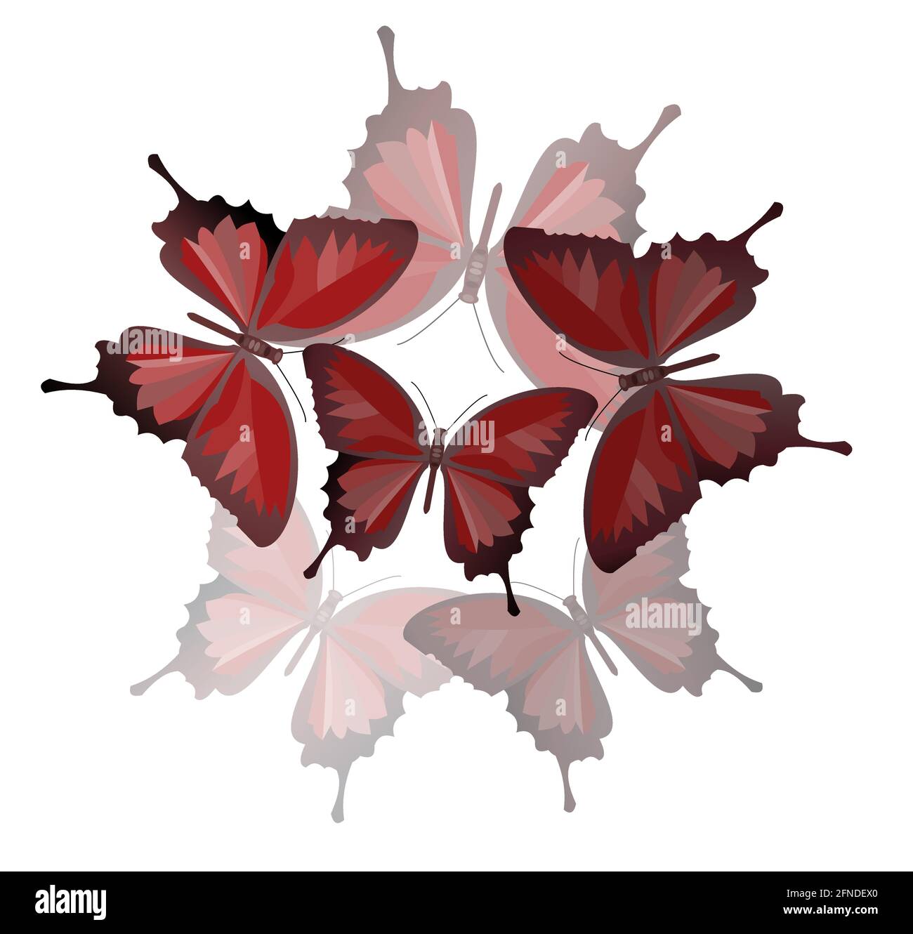 Semitransparent hi-res stock photography and images - Alamy