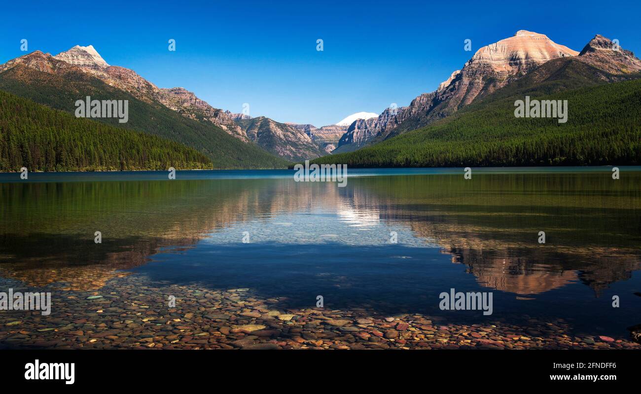 Stunning Bowman Lake Glacier National Park Photos