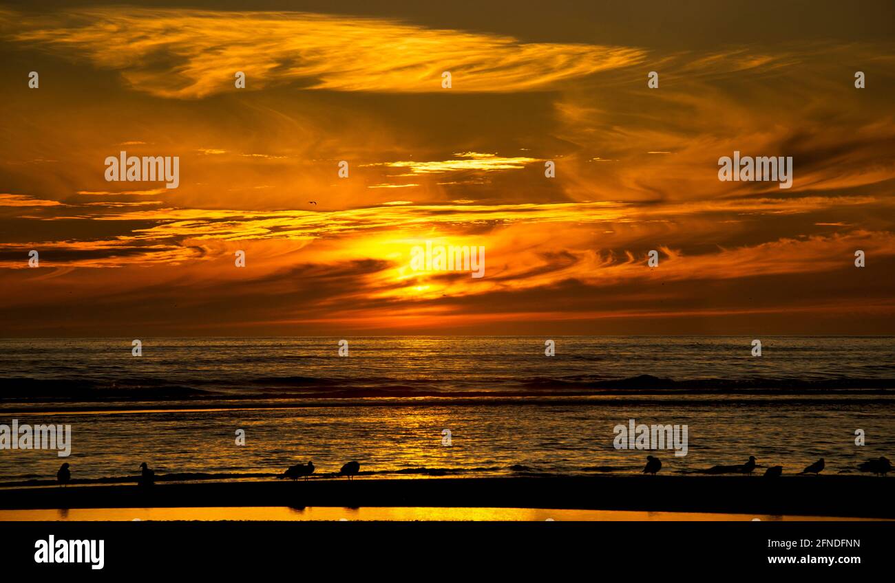 Downtown long beach lighthouse hi-res stock photography and images - Alamy