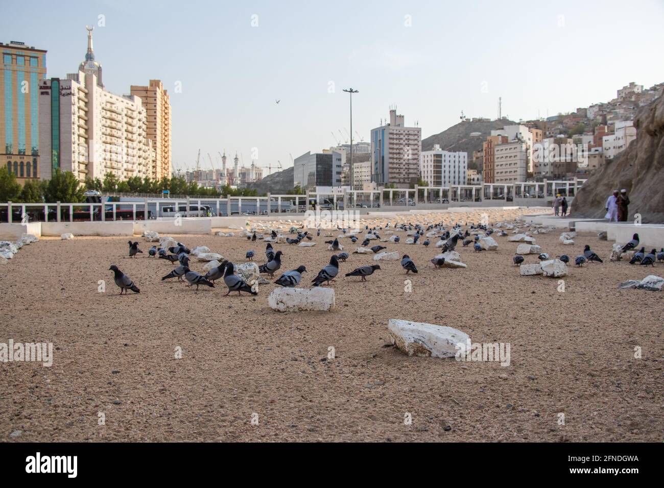 Old muslim graveyard in Mecca city - Jannat al-Mualla. Pigeons and ...