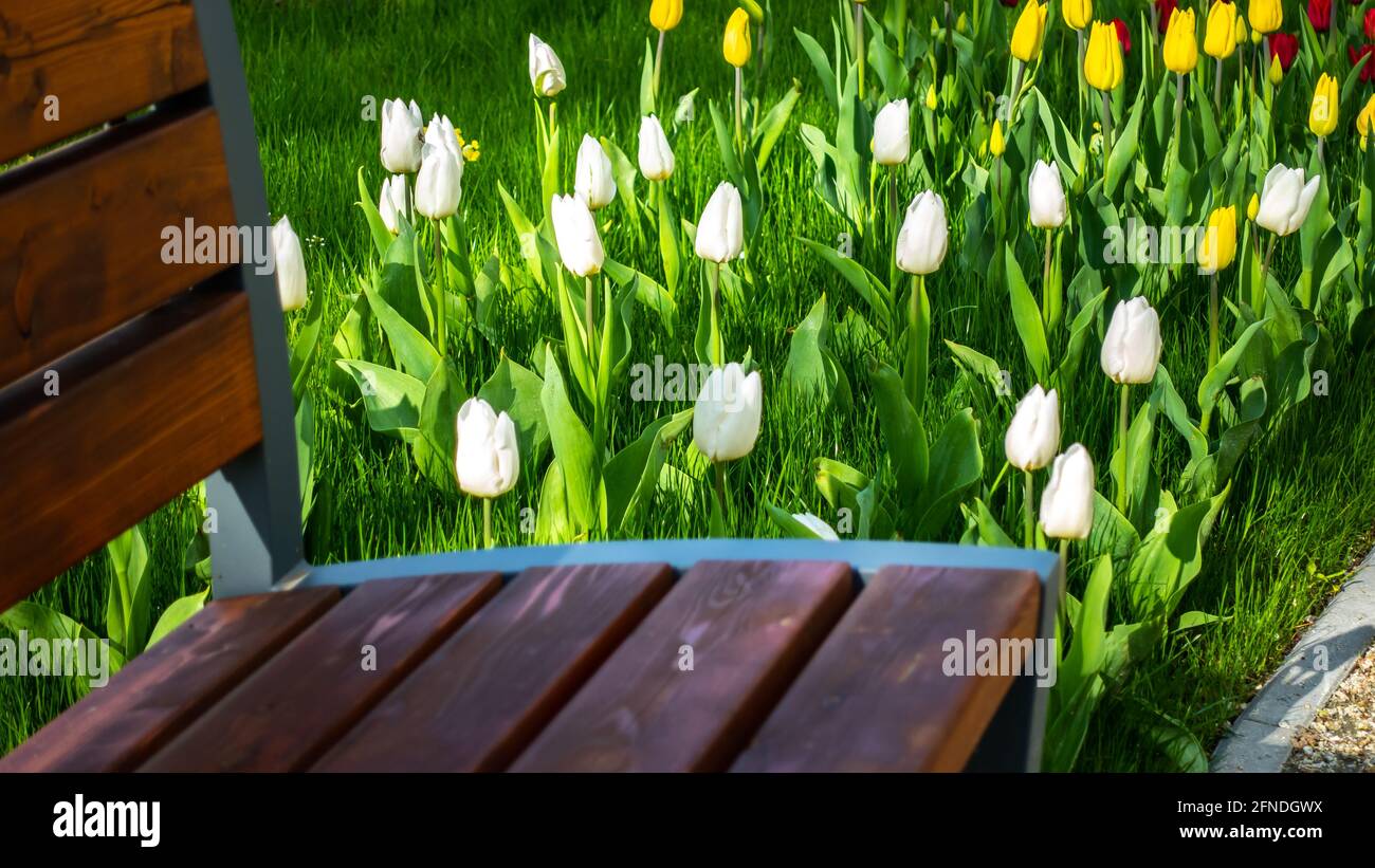 Very pretty park bench hi-res stock photography and images - Alamy