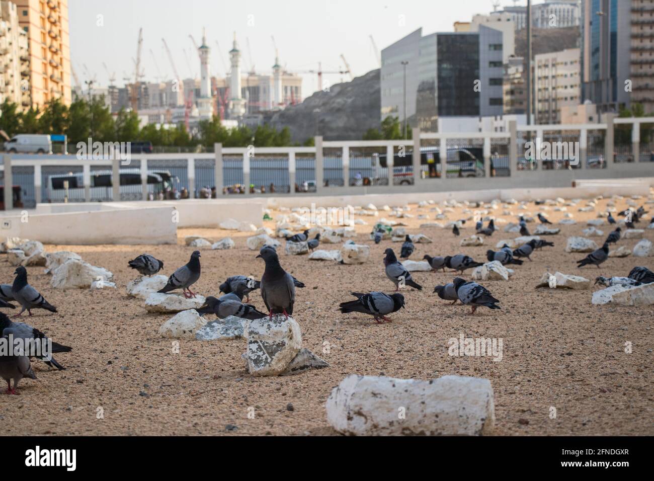Old muslim graveyard in Mecca city - Jannat al-Mualla. Pigeons and ...